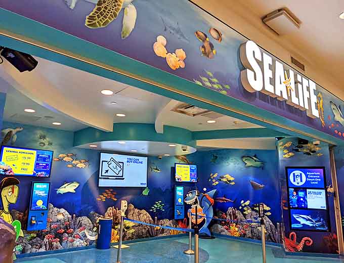 The SEA LIFE entrance stands ready to transport mall-goers from shopping bags to shark encounters in just a few steps.