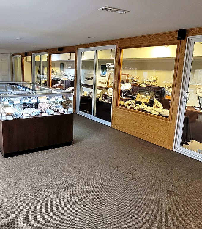 Museum-quality specimens are protected in elegant wooden cabinets, preserving Earth's treasures for generations of future scientists.