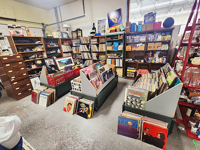Vinyl records fill bins with musical history, their album covers serving as miniature time capsules of artistic expression across decades.
