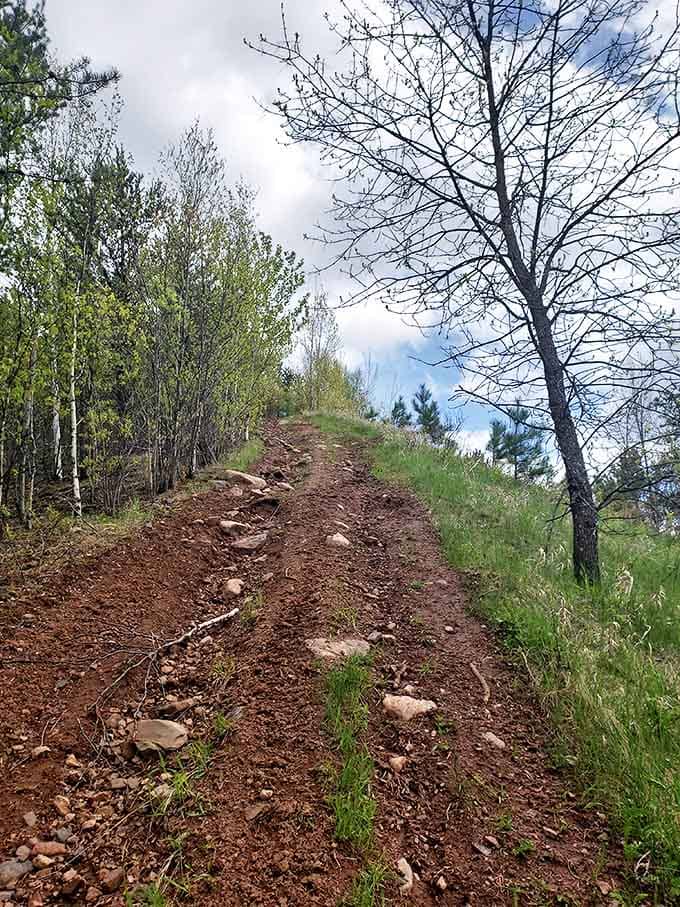 Nature slowly reclaims the edges of man-made paths, a reminder that at Leonidas, wilderness is always just a step away.