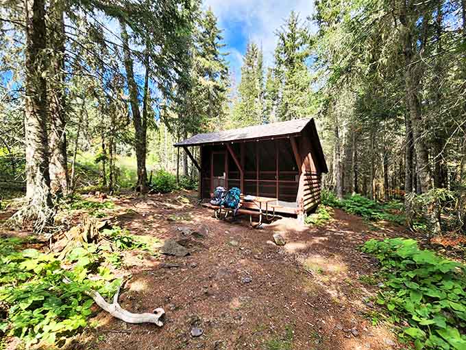 This rustic shelter has witnessed countless hikers' dreams and snores, a humble haven in the wilderness.