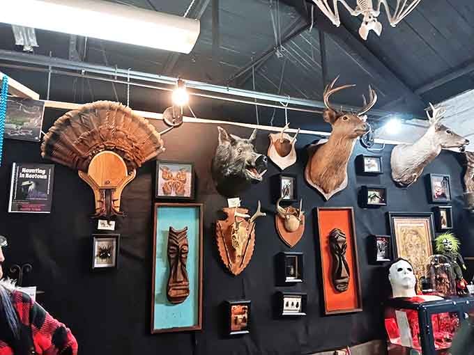 The taxidermy wall transforms hunting trophies into an art installation where glass eyes seem to follow you throughout the room.