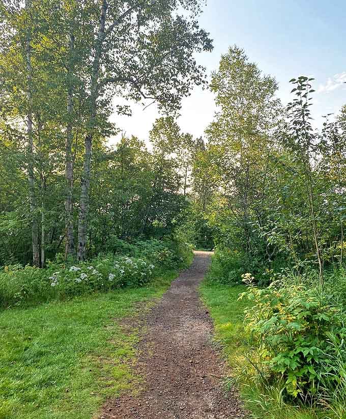 Wilderness beckons along this inviting trail, where each bend promises new discoveries and moments of natural wonder.
