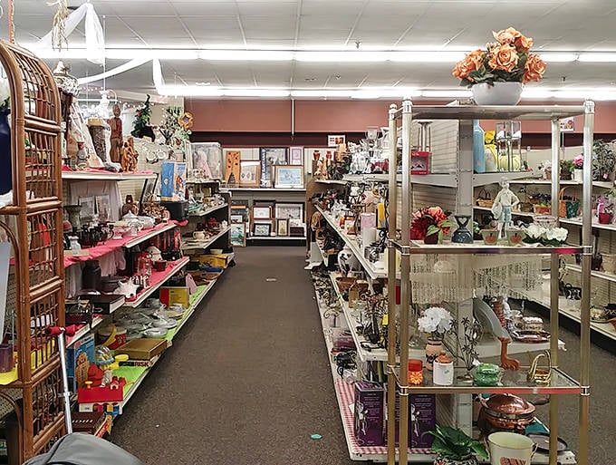 Each shelf of home décor items tells a different story, from elegant glassware to quirky conversation pieces that demand attention.