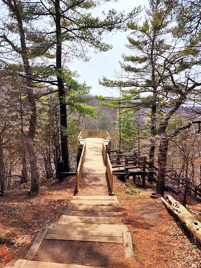 This wooden observation platform extends toward the falls, providing the perfect spot for contemplation or impromptu family photos.