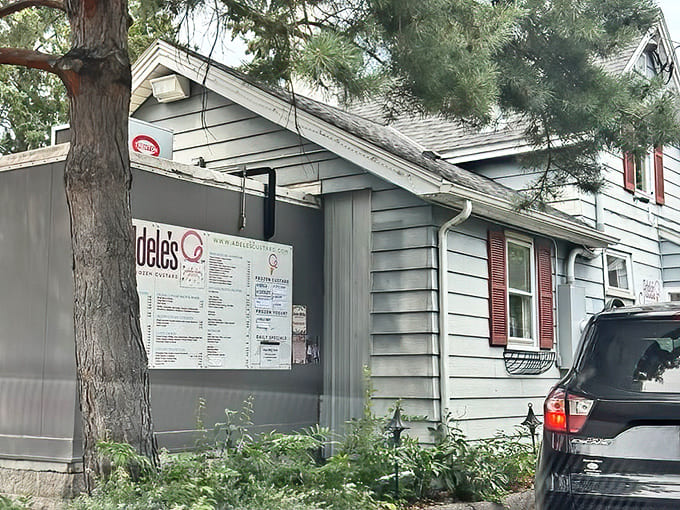 This peaceful outdoor space surrounded by greenery makes the perfect backdrop for your custard contemplation session.