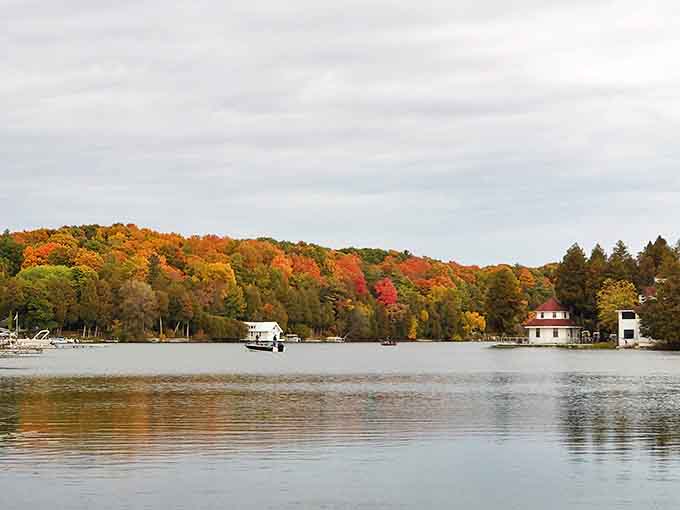Autumn transforms the sculpture garden into a symphony of colors, where metal art pieces stand in striking contrast to nature's seasonal display.