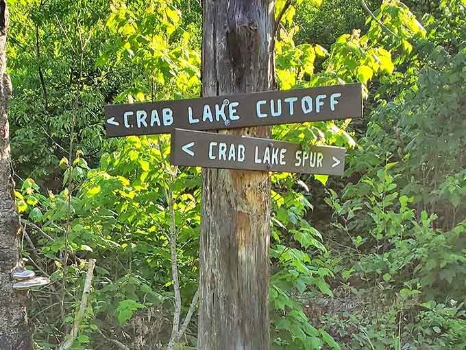 Trail signs stand like friendly guides in the wilderness &ndash; Minnesota's version of "You are here" with rustic charm.