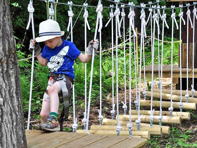 Even the youngest adventurers find appropriate challenges, building confidence one carefully designed obstacle at a time.