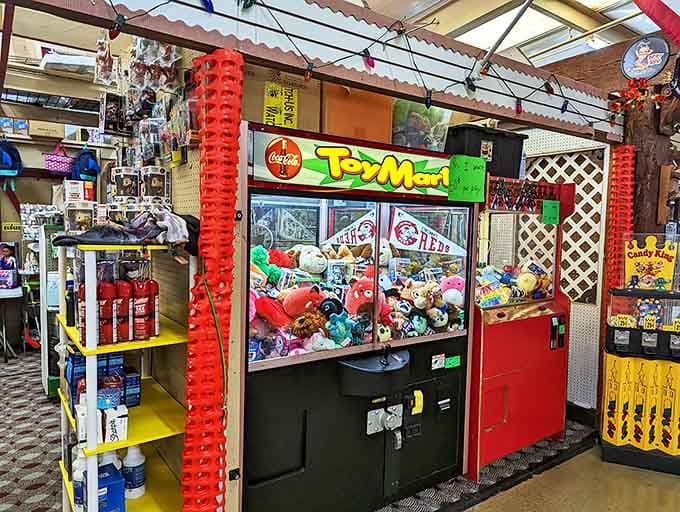 The universal childhood experience of trying to grab elusive stuffed prizes&mdash;quarters disappear while hope springs eternal that this time will be different.