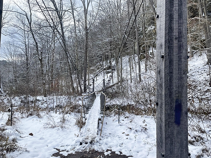 Winter transforms the familiar bridge into a passage to Narnia, where every footstep breaks the silence and possibly tests your balance.