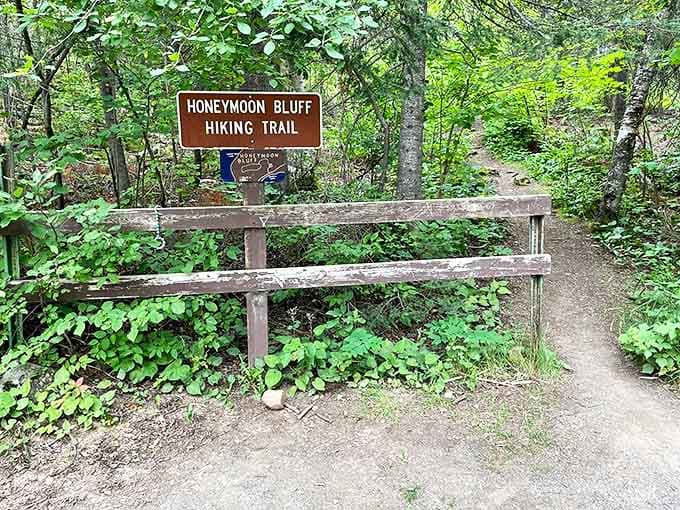 The trail entrance whispers promises of adventure while keeping its secrets hidden just beyond the first bend. Irresistible invitation!