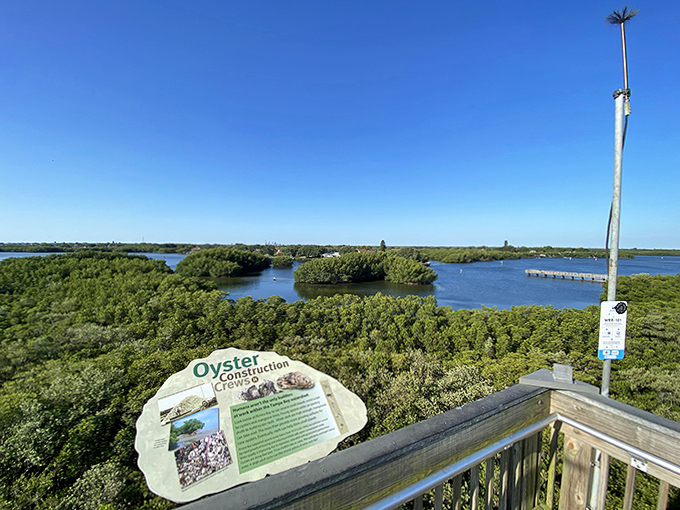 Educational signage shares the fascinating story of oyster reef construction &ndash; nature's own underwater architects at work.