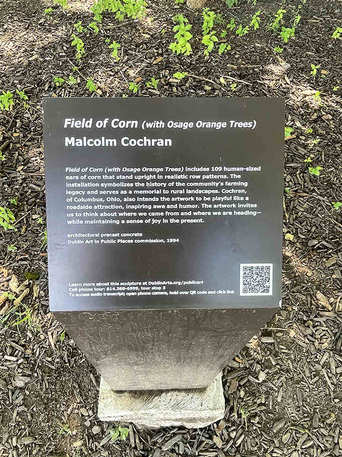 The informational plaque reveals artist Malcolm Cochran's vision: 109 human-sized ears of corn that celebrate agricultural heritage while playfully questioning suburban development.