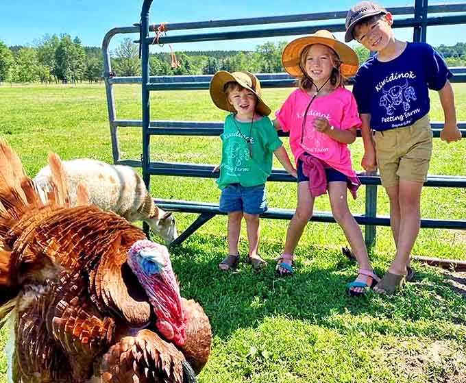 Young visitors in their farm-branded shirts discover the magic of feeding time, with a curious turkey photobombing their moment.