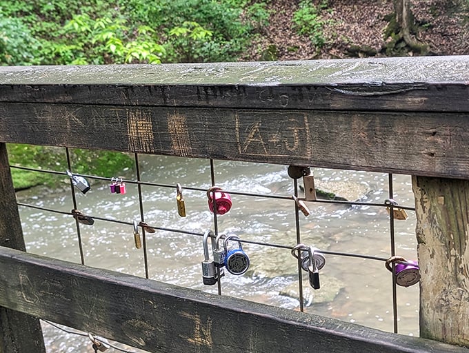 Love locks on the bridge railing tell silent stories of countless couples who found romance amid the preserve's natural beauty.