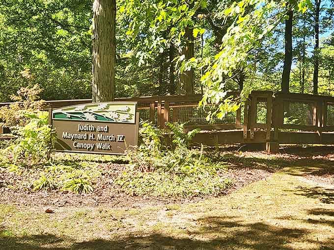The sign marks the entrance to an elevated adventure, where the ordinary act of walking becomes an extraordinary journey through treetops.