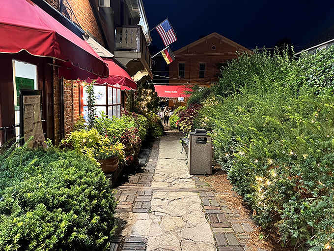 The pathway glows with warm light after sunset, creating a magical atmosphere that transforms evening browsing into a literary enchantment.