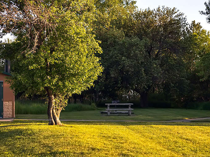 Simple pleasures: A picnic table, shade trees, and absolutely nowhere else you need to be.