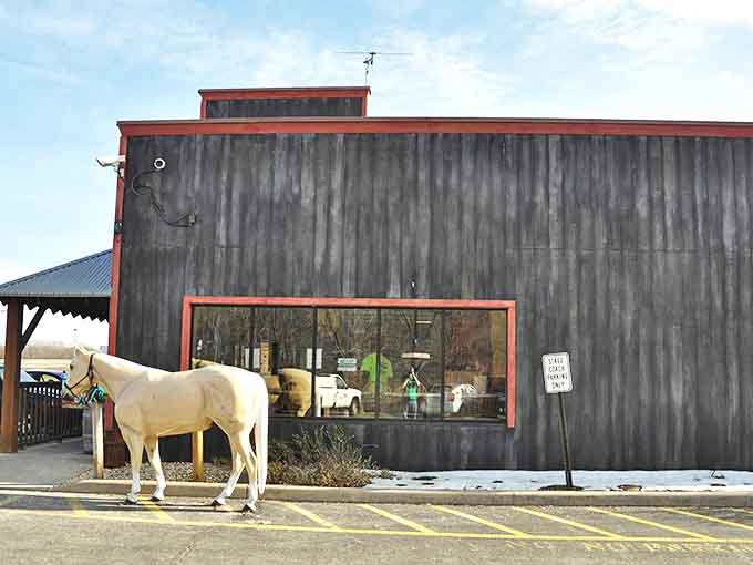 Even the parking area offers surprises &ndash; where else would you find a horse casually waiting like it might need to pick up milk?