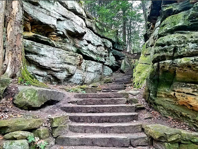 Nature's StairMaster offers both a workout and views worth the climb. No monthly membership required.