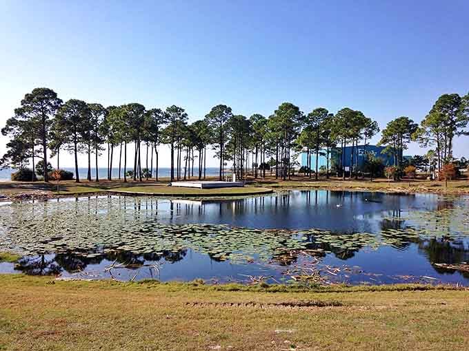 The reflecting pond and bay view create layers of blue and green that look like someone's showing off their watercolor painting skills.