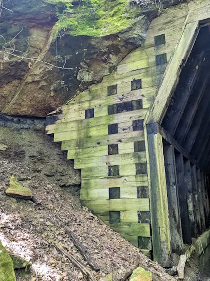 Rock Wall: Layers of stone and timber create a textural symphony where human construction meets natural erosion in perfect harmony.