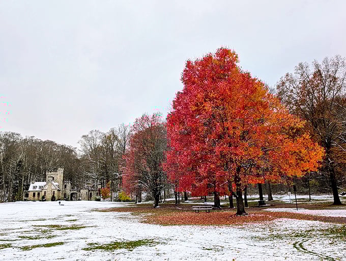 Winter transforms Squire's Castle into a snow-dusted fantasy, where every flake adds another layer of enchantment to this Ohio treasure.