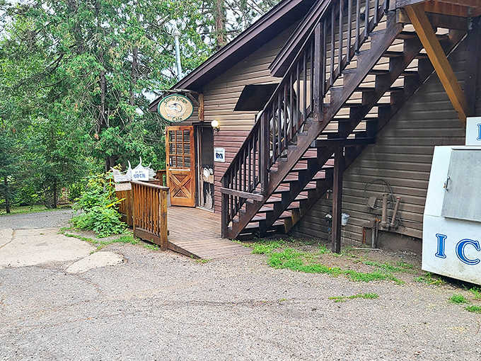 The multi-level outdoor seating area blends seamlessly with the surrounding forest, making every meal feel like a woodland picnic.