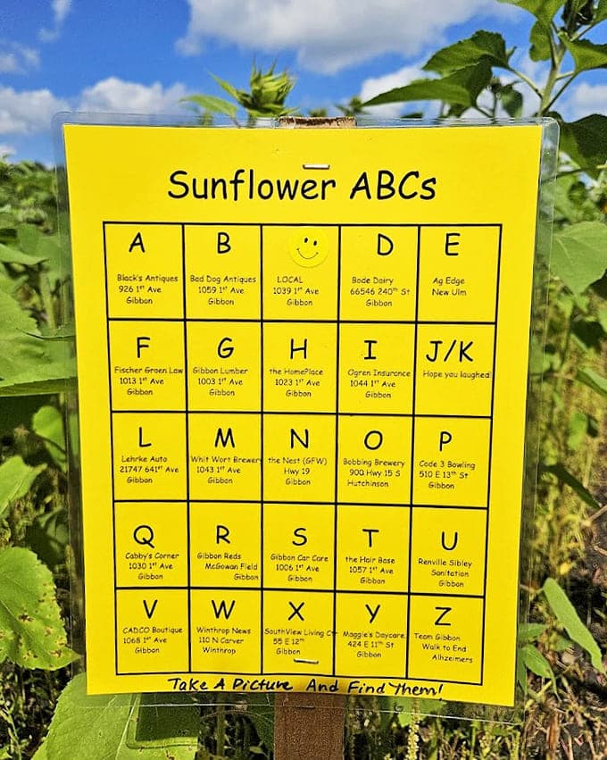 Sunflower ABCs transform flower viewing into community exploration &ndash; a clever scavenger hunt connecting blooms to local businesses.