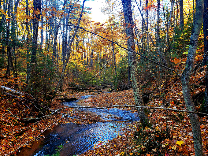 The waterfall reveals itself in stages, first as a whisper of white against dark stone, then as a full symphony of motion.