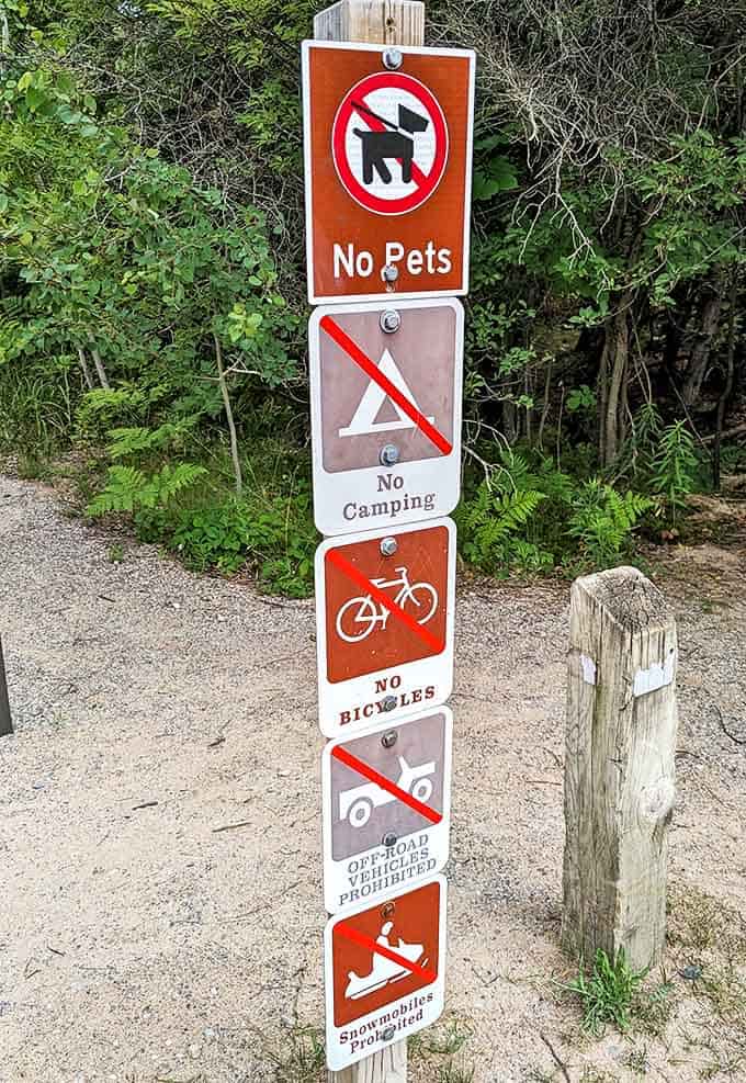 Nature's "no" list might seem extensive, but the real message is clear: leave nothing but footprints, take nothing but memories.