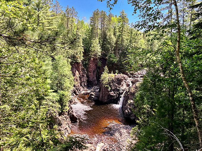 Pines standing tall like nature's own cathedral spires, creating a sanctuary where even confirmed atheists whisper "amen."