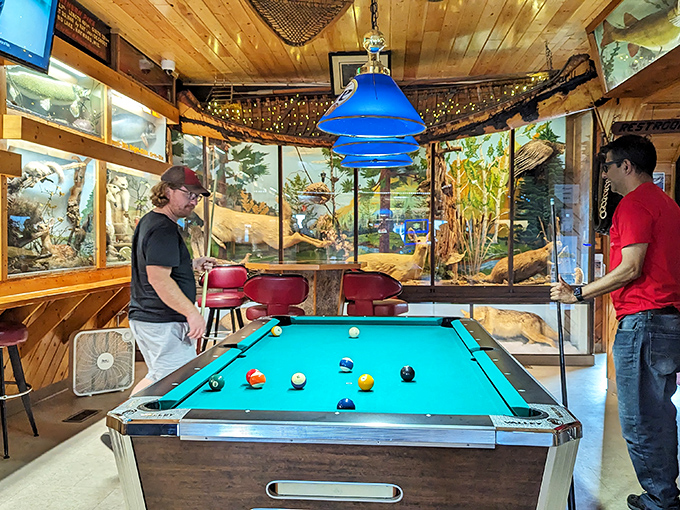 Pool players enjoy a game surrounded by glass cases of wildlife, creating a uniquely Wisconsin blend of recreation and nature appreciation.