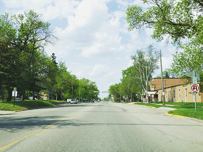 Main Street stretches toward the horizon, flanked by trees that have witnessed generations of parades, first dates, and hometown comebacks.