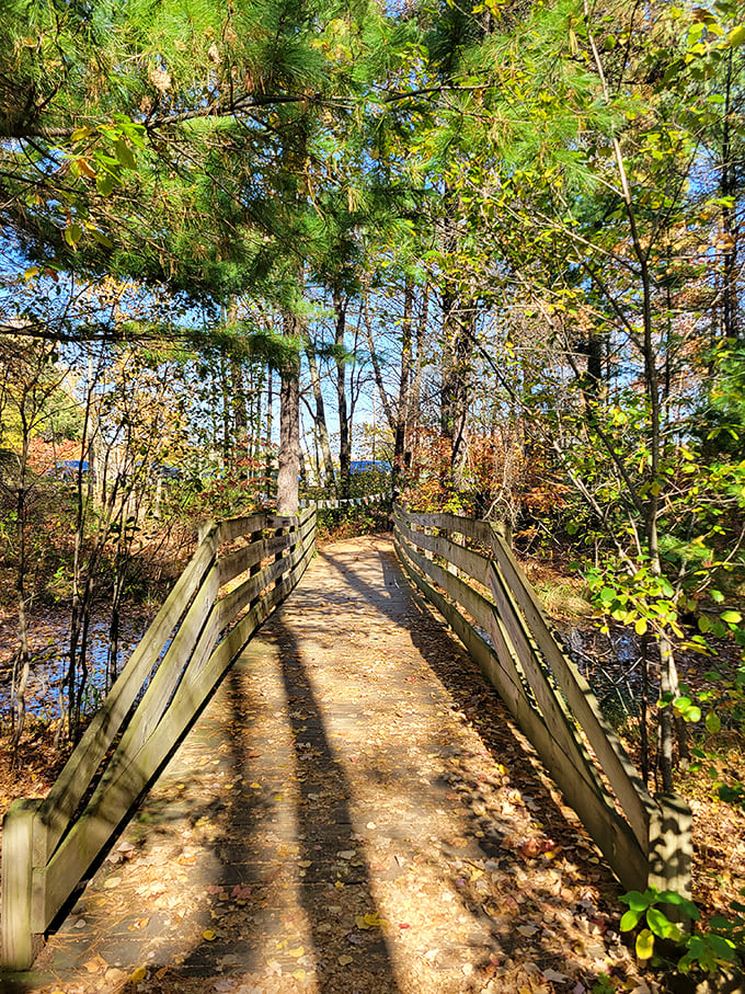 A rustic wooden bridge connects different sections of the park, serving as both practical pathway and poetic transition between artistic worlds.