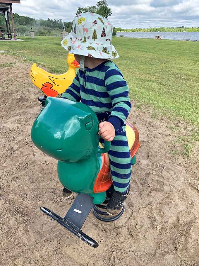 Childhood joy in its purest form &ndash; a little one enjoying a playground ride while surrounded by Minnesota's natural beauty.