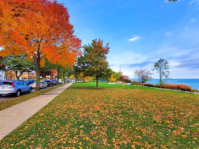 Fall transforms Atwater into a symphony of colors, where fiery leaves compete with blue waters for attention.