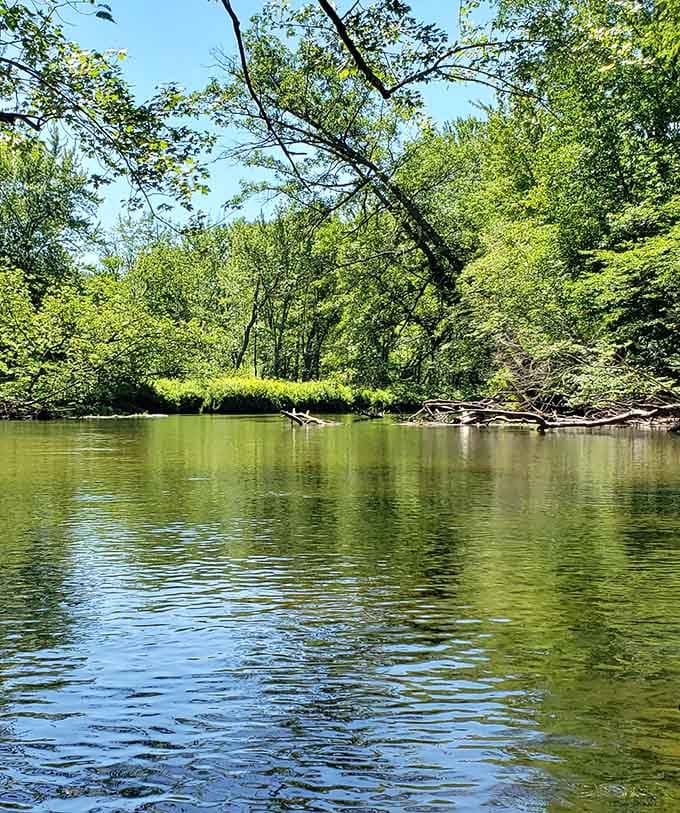 Emerald waters wind through Michigan's forests, creating a pathway to peace that's been carved by centuries of patient persistence.