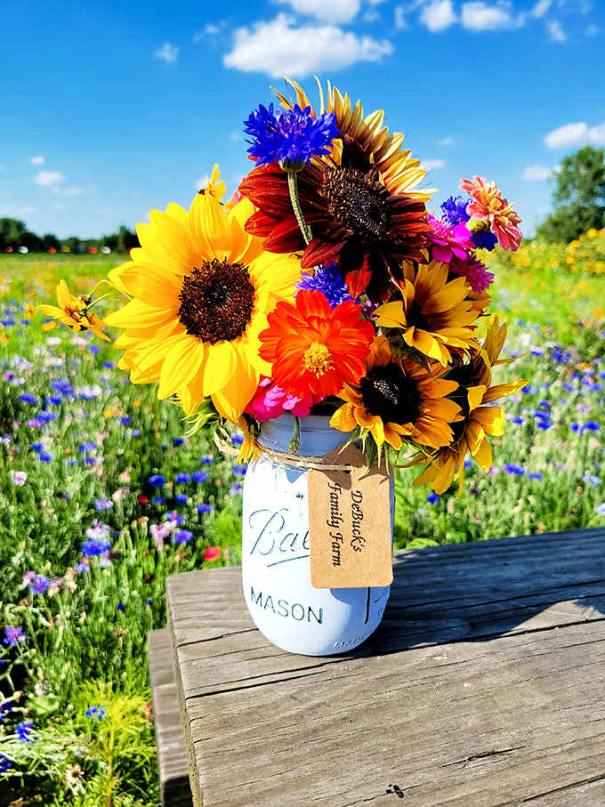 A mason jar bursts with a rainbow of freshly cut blooms, showcasing the farm's pick-your-own flower options against a backdrop of wildflower fields.