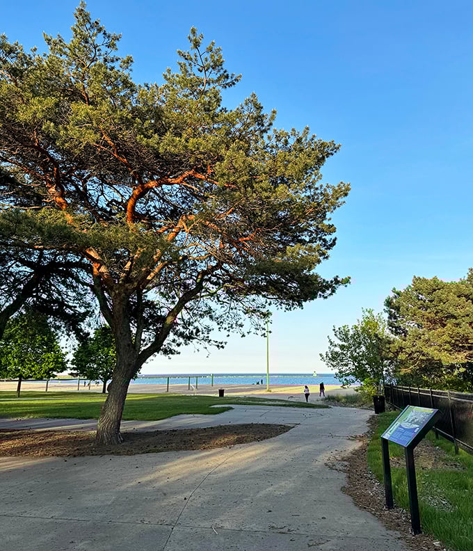 Tree-lined paths offer dappled shade for beach-bound travelers, nature's perfect cool-down corridor on hot summer days.