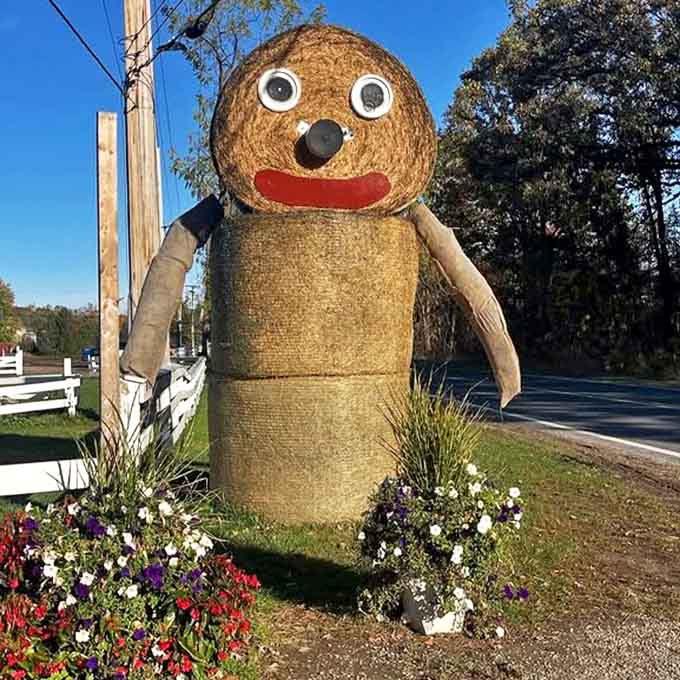 The farm's hay bale greeter sports googly eyes and a permanent smile &ndash; countryside charm with a touch of whimsy.