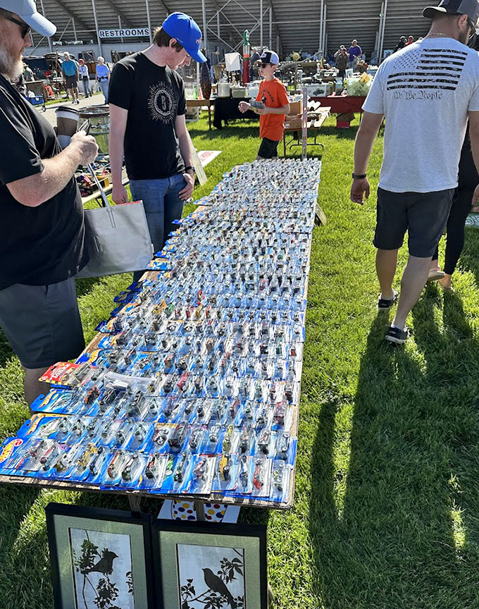 An impressive array of collectible toy cars draws enthusiasts young and old to this meticulously organized display.