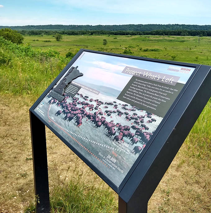 Informational displays bring the ghost town's stories to life, no paranormal investigation equipment required.