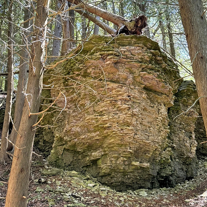 Nature's architecture rivals human engineering&mdash;this limestone formation reminds visitors that Fayette's story began millions of years before iron production.