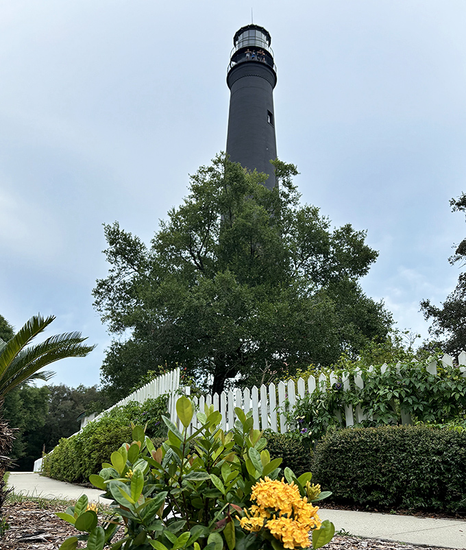 From ground level, the lighthouse towers above like a maritime exclamation point, announcing "You are here!" to sailors and tourists alike for over 160 years.