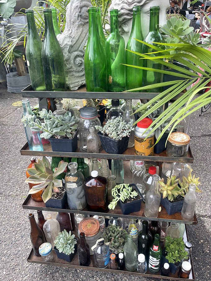 Old bottles transformed into an artistic display with succulents &ndash; proving that Hunt & Gather specializes in giving forgotten objects new purpose and beauty.