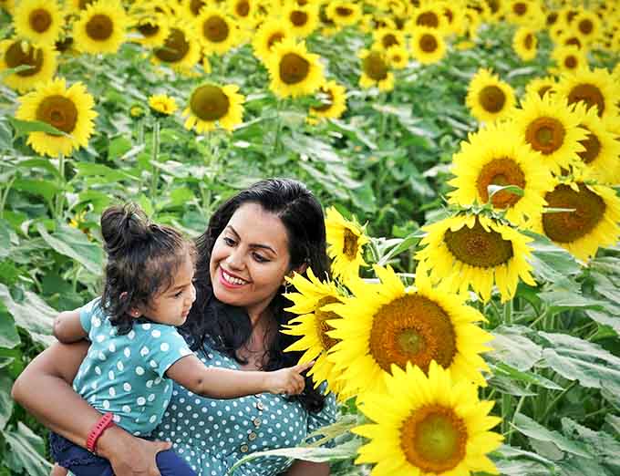 Generational joy blooms in the sunflower fields as this mother-daughter duo discovers the simple pleasure of flower exploration.