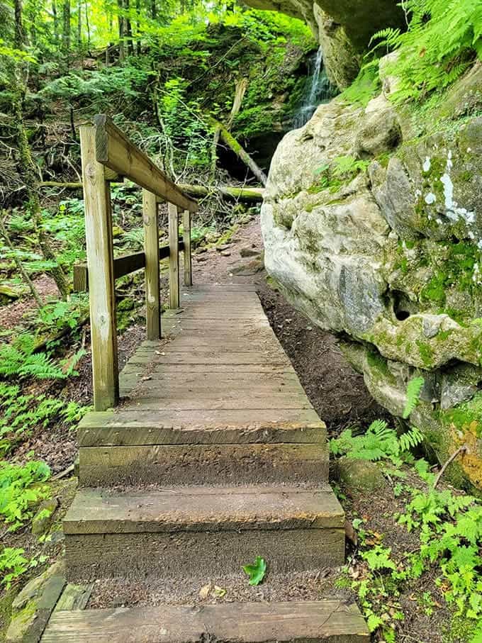 Wooden railings guide you along the pathway, providing support and direction while letting the surrounding beauty remain the star of the show you're walking through.