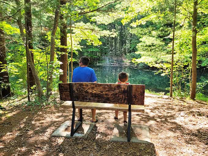 Benches strategically placed throughout the preserve offer perfect spots for rest, reflection, or simply watching the world go by at nature's pace.